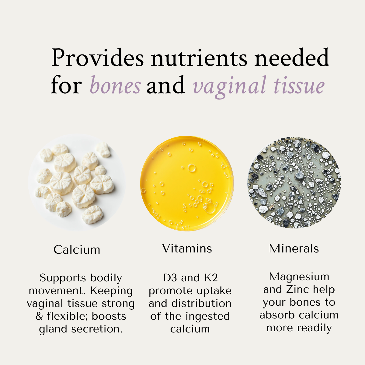 Bone Support – NeuEve