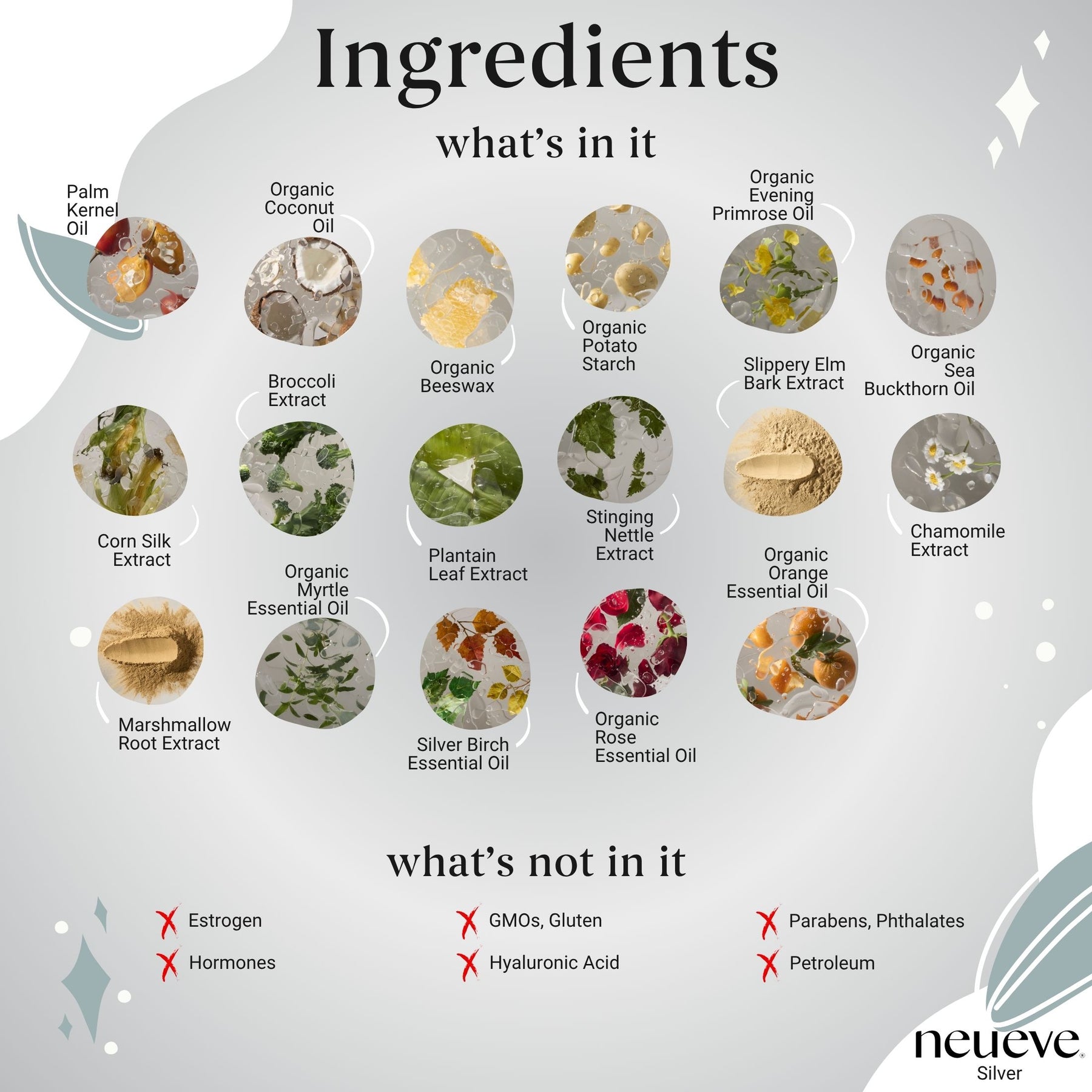 Silver Vaginal Suppositories – NeuEve