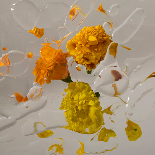 Ingredients – NeuEve